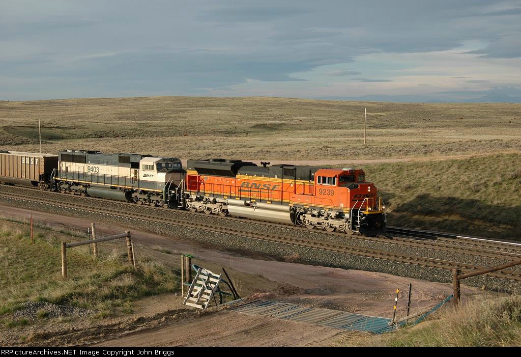 BNSF 9239